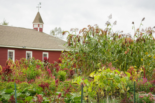 Annual Photography Membership - Little Dipper Farm