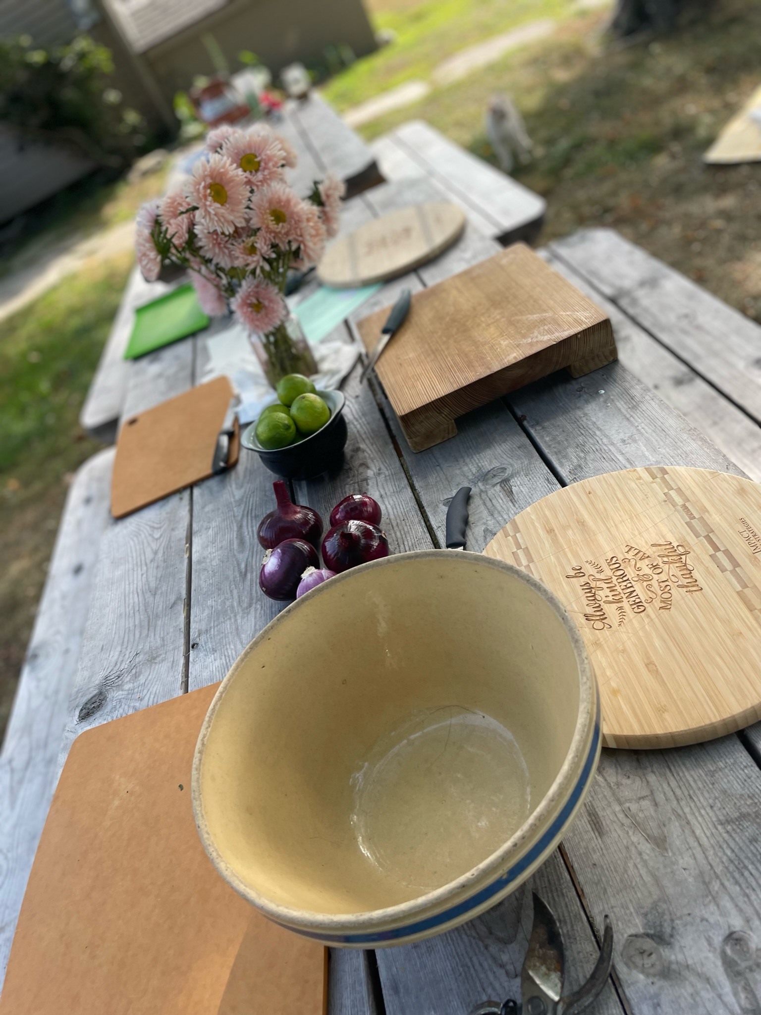 Home - Little Dipper Farm